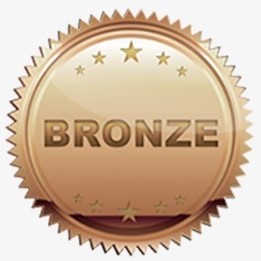bronze plan - digitfile