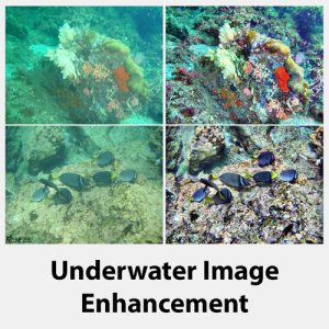 Underwater Image Enhancement using Contrast Limited Adaptive Histogram Equalization (CLAHE) and ...